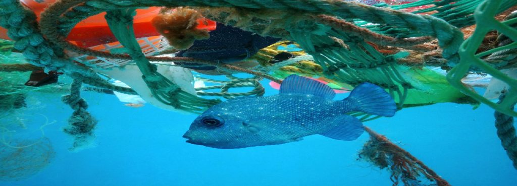 Three new warnings over pollution at beaches in Cornwall and Devon ...